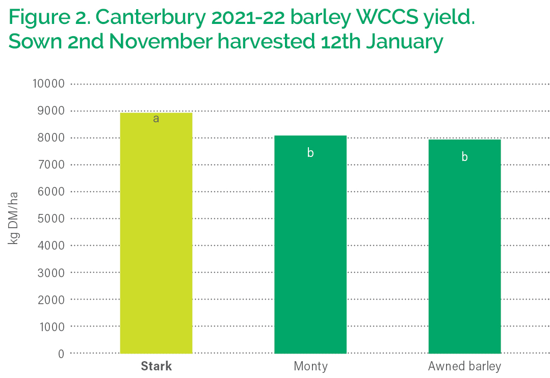 Stark | THE NEXT GENERATION OF HOODED BARLEY | Agricom
